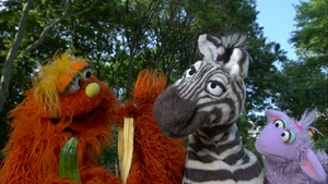 Zebras | Muppet Wiki | Fandom
