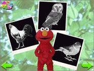 Sesame Street: Toddler | Muppet Wiki | Fandom