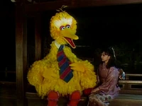 Big Bird in Japan | Muppet Wiki | Fandom