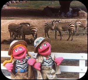 Zebras | Muppet Wiki | Fandom