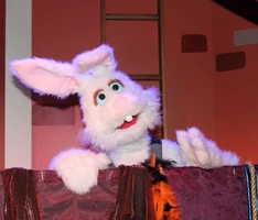 Sesame Place characters | Muppet Wiki | Fandom