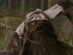 The Bog | Muppet Wiki | Fandom