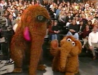 The Rosie O'Donnell Show on Sesame Street | Muppet Wiki | Fandom