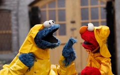 Episode 4229 | Muppet Wiki | Fandom