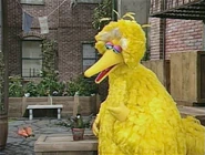 Butterflies | Muppet Wiki | Fandom
