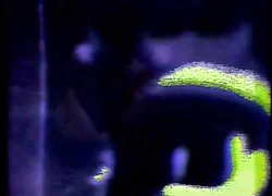 Swamp demons | Muppet Wiki | Fandom