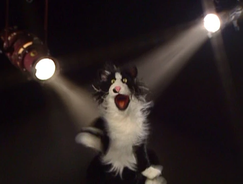 Cat on a Hot Tin Roof | Muppet Wiki | Fandom