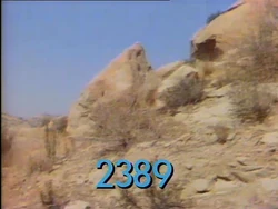 Episode 2389 | Muppet Wiki | Fandom