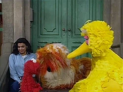 Episode 3848 | Muppet Wiki | Fandom