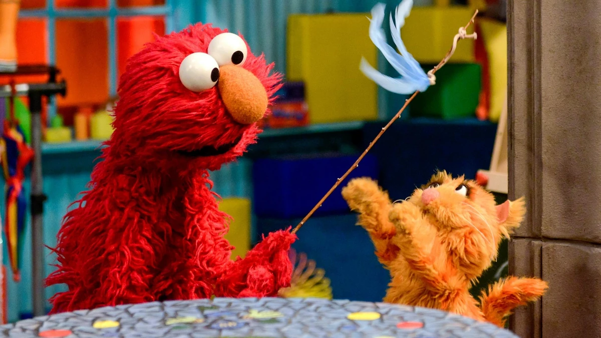 Episode 4811 | Muppet Wiki | Fandom