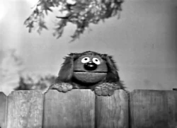 Rowlf the Dog filmography | Muppet Wiki | Fandom