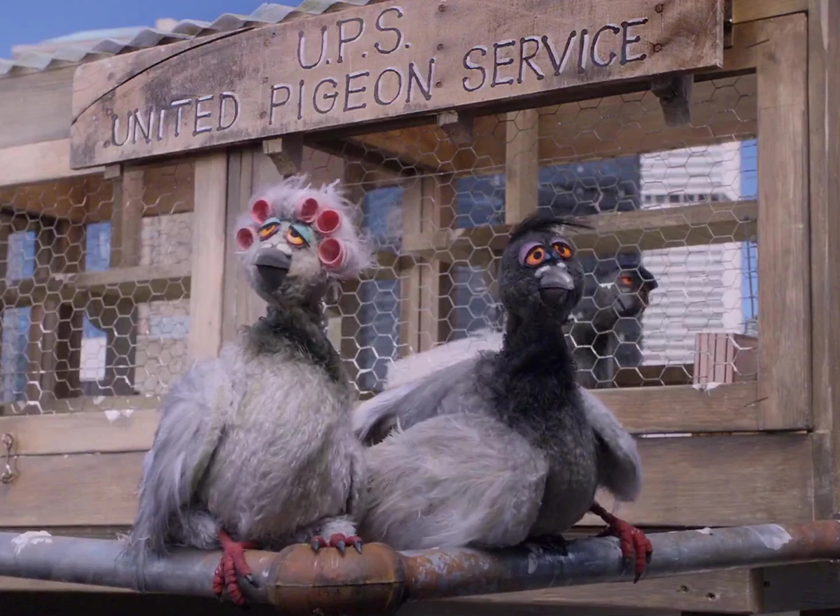 Pigeons | Muppet Wiki | Fandom