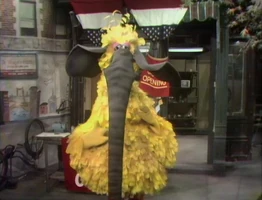 Elephants | Muppet Wiki | Fandom