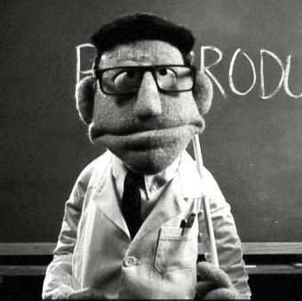 Mr. Movie | Muppet Wiki | Fandom