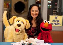 Episode 4307 | Muppet Wiki | Fandom