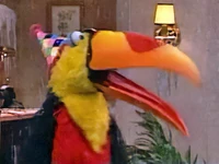 Toucan | Muppet Wiki | Fandom