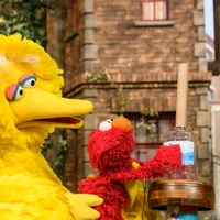 Episode 5103 | Muppet Wiki | Fandom