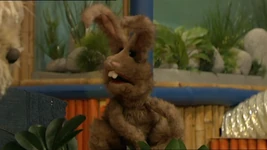 Sandbox:Bambaloo characters | Muppet Wiki | Fandom