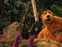 Episode 231: Scientific Bear | Muppet Wiki | Fandom