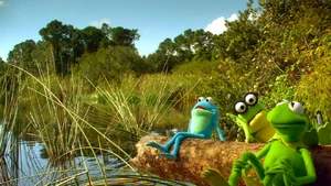 Kermit's Swamp | Muppet Wiki | Fandom