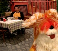 Noel MacNeal cameos | Muppet Wiki | Fandom