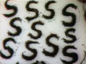 Season 5 (1973-1974) | Muppet Wiki | Fandom