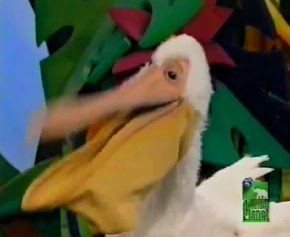 Episode 305: Pelican & Flamingo | Muppet Wiki | Fandom