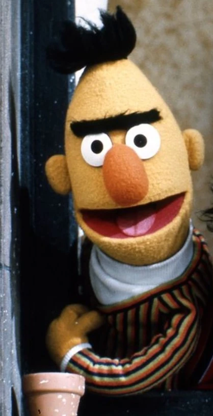 Visage De Bert Rue Sésame 1 Rue Sésame Saison 38 AlloCiné