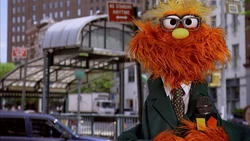 Episode 4233 | Muppet Wiki | Fandom