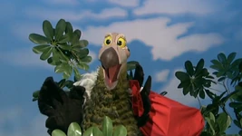 Sandbox:Bambaloo characters | Muppet Wiki | Fandom