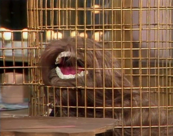 Smiling Jim Sepulveda and His Tapdancing Toupées | Muppet Wiki | Fandom