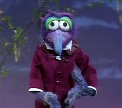 Gonzo Through the Years | Muppet Wiki | Fandom