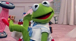 Kermit the Frog's Alternate Ages | Muppet Wiki | Fandom