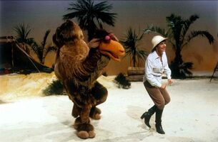 Episode 313: Helen Reddy | Muppet Wiki | Fandom