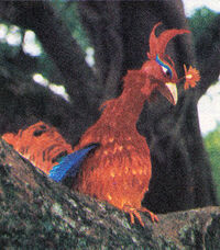 The Phoenix | Muppet Wiki | Fandom