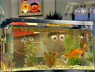 Ernie and Bert: Watching Fish | Muppet Wiki | Fandom