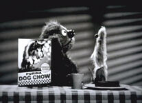 Flattened characters | Muppet Wiki | Fandom