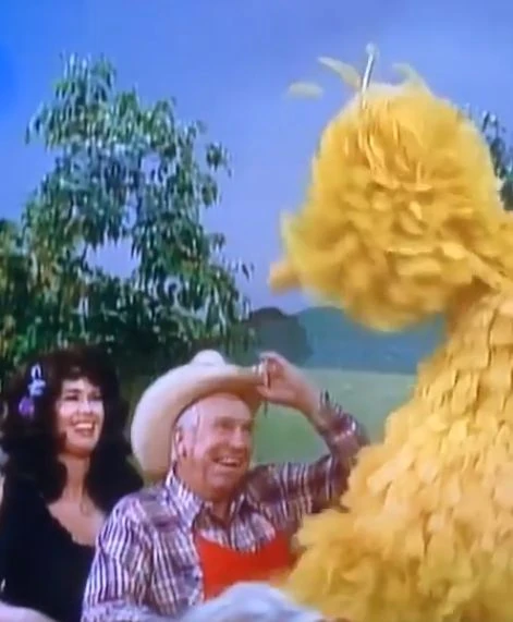 Lisa Todd | Muppet Wiki | Fandom