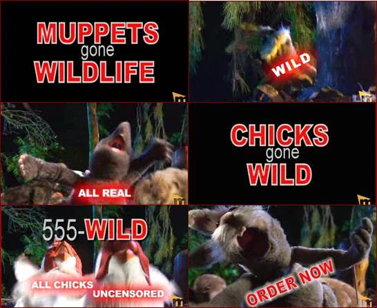 Girls Gone Wild | Muppet Wiki | Fandom
