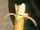 Bananas