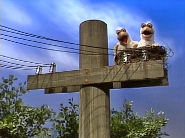 Doves | Muppet Wiki | Fandom