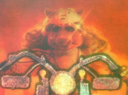 Muppet iron-on transfers | Muppet Wiki | Fandom