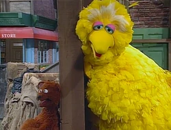 Episode 3808 | Muppet Wiki | Fandom