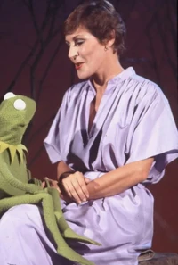 Episode 313: Helen Reddy | Muppet Wiki | Fandom