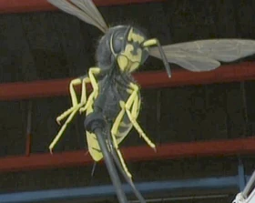 Wasp | Muppet Wiki | Fandom