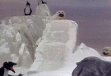 Throwing Penguins | Muppet Wiki | Fandom