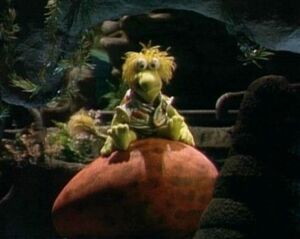 Eggs | Muppet Wiki | Fandom