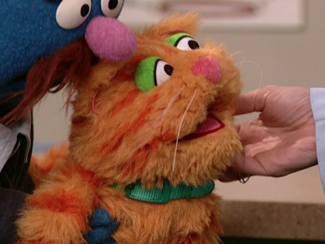 Fluffy (Mr. Johnson's pet) | Muppet Wiki | Fandom