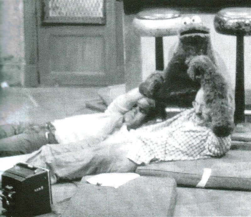 Episode 0725 | Muppet Wiki | Fandom