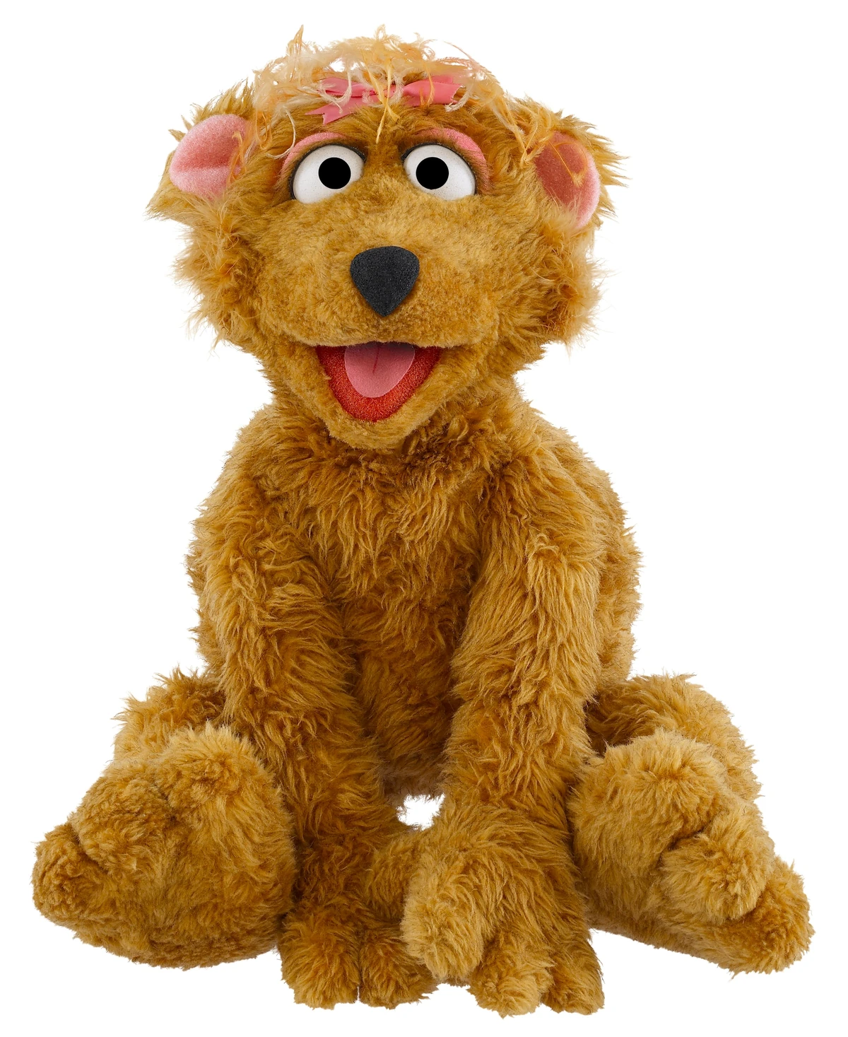 Curly Bear Muppet Wiki Fandom